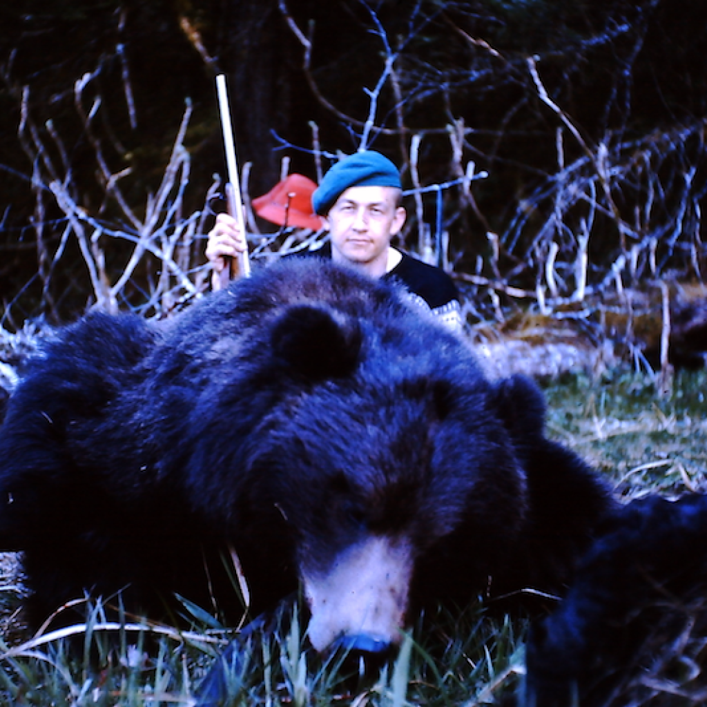 Dennis Nottingham - 1965 Admiralty Island, Alaska, Brown Bear photo ...